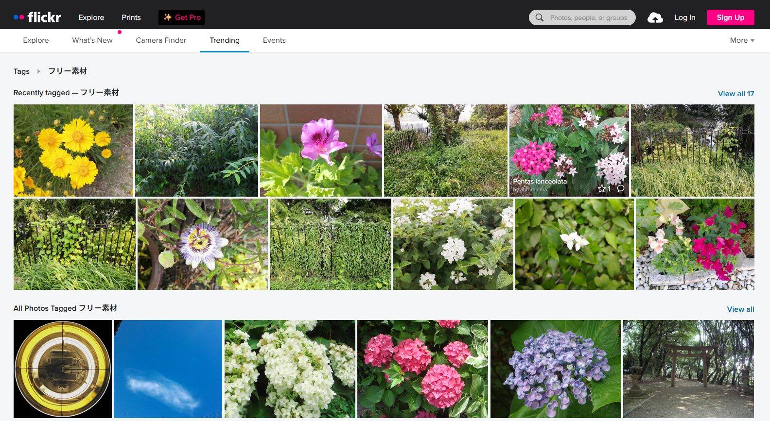 フリー素材を安全に使う方法｜知らないと怖い「著作権」と「Creative Commons」の基本|UCHIWA Creative Studio